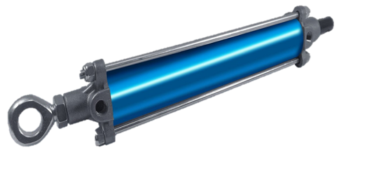 Rampa - Catalogo ENPA